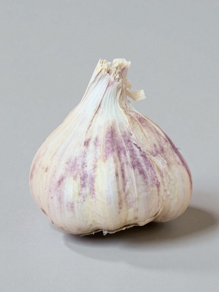 Garlic Maddock Wight Seed- Grown Local